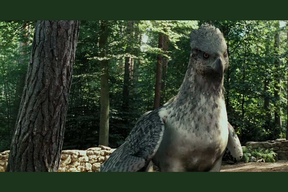 Could You Pass Care Of Magical Creatures 101?