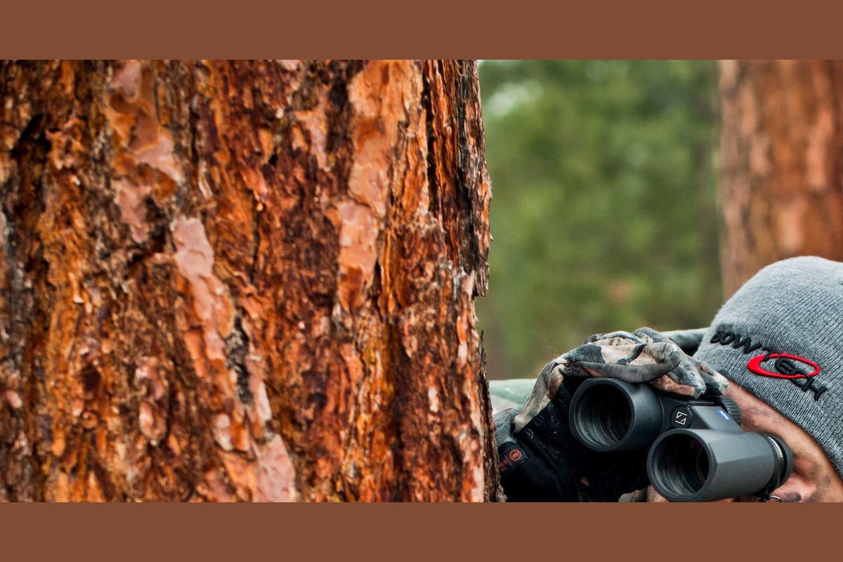 Put Your Vision to the Test! Find the Hidden Deer.