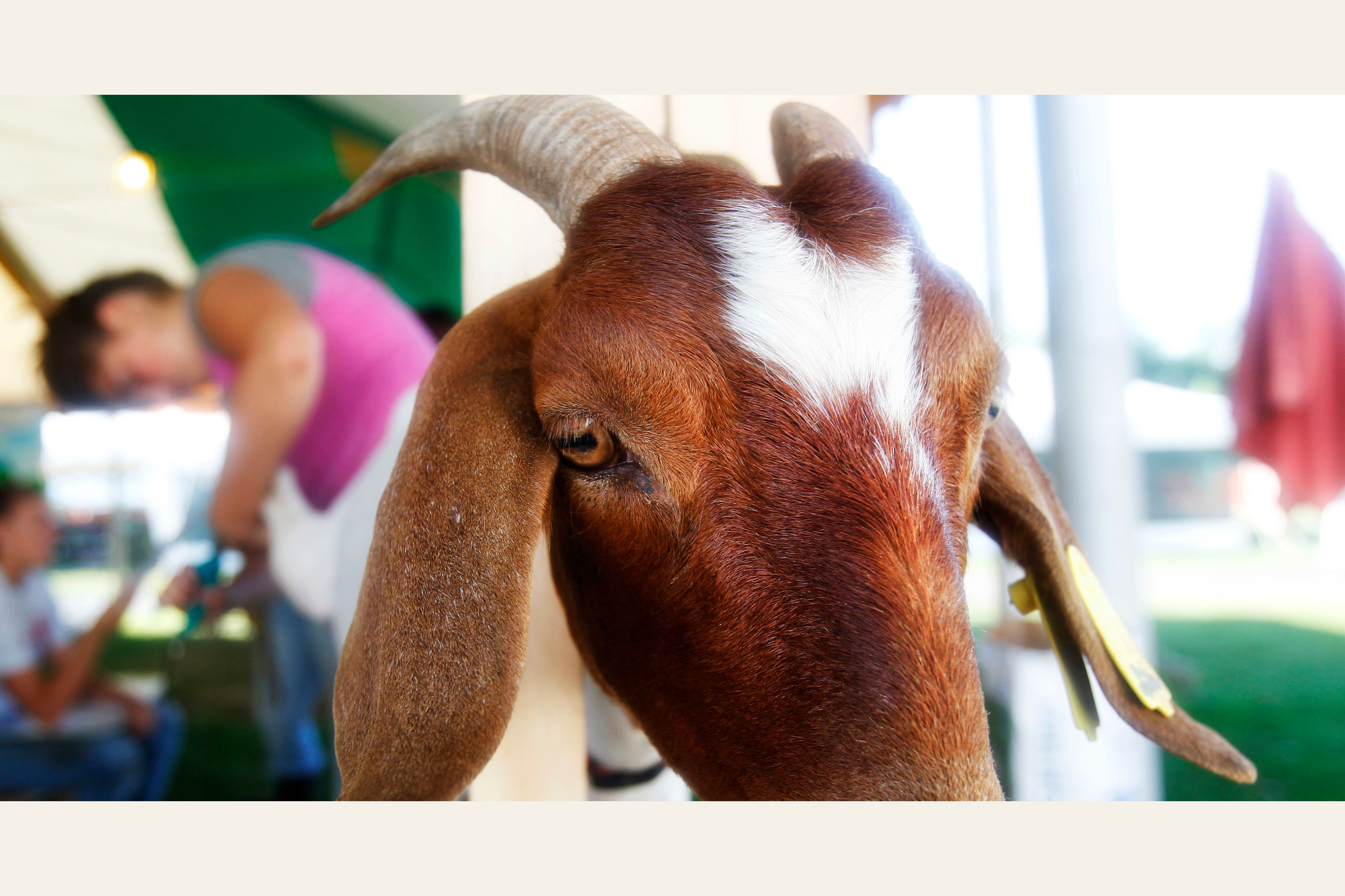 Who's The Mets' World Series Goat?