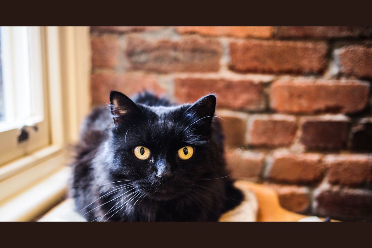 Dertien vragen over bijgeloof