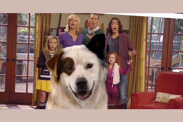 Which Dog With a Blog character are you?