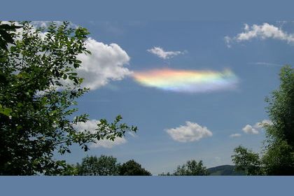 Not by Rainbow Alone: Fogbow, Moonbow, Dewbow and Other Miracles of Nature