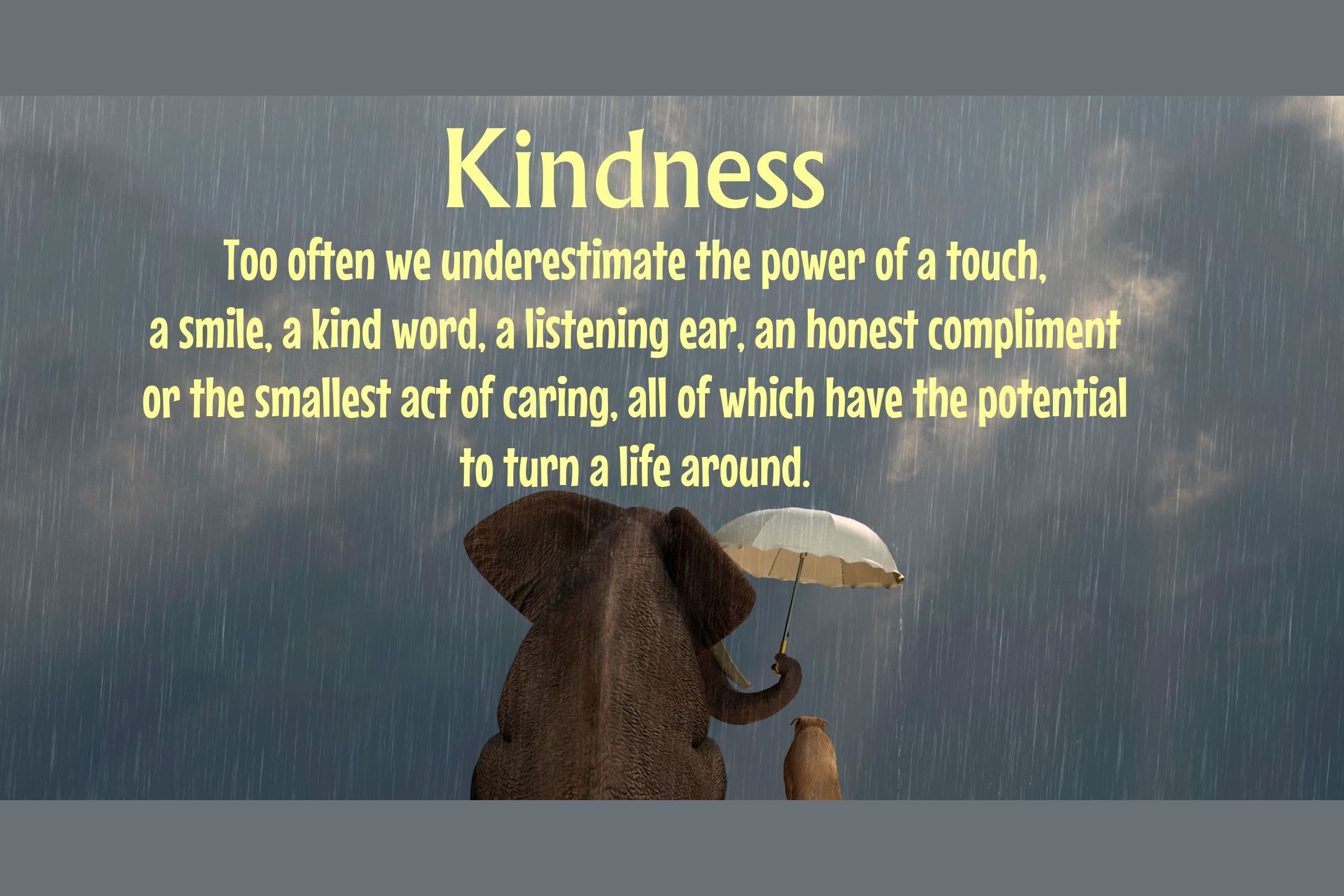 What Act Of Kindness Are You Most Likely To Do According To Your ...