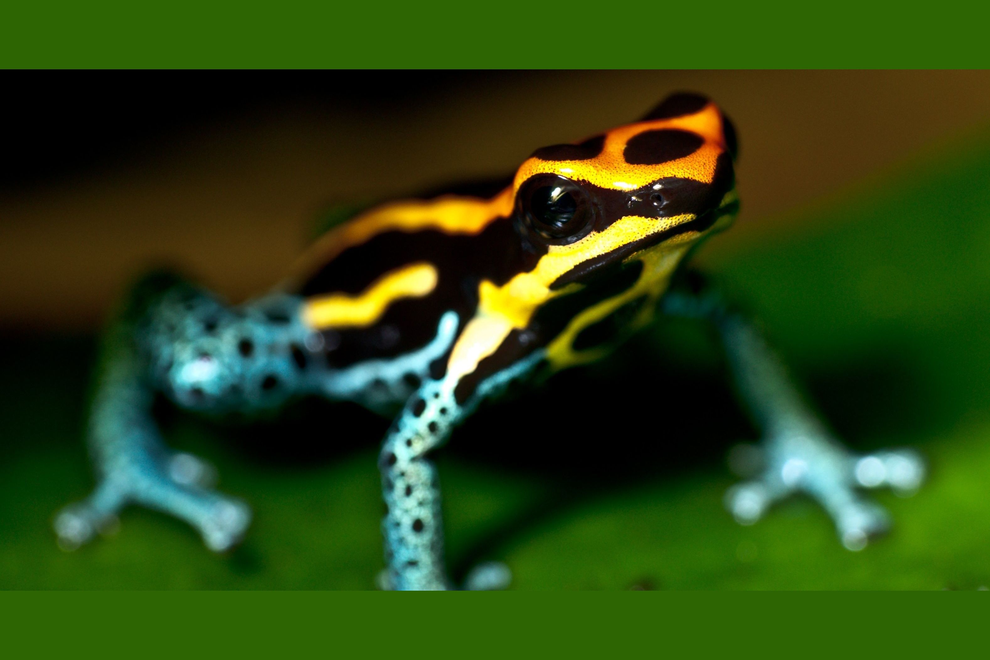 Small But Deadly: What Mini Killer Are You?