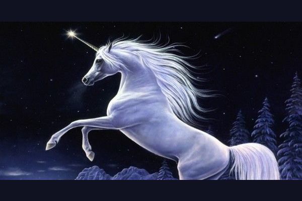 What magical creature are you?