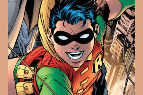 which robin is which