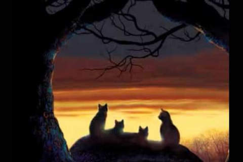 sunset warriors cats
