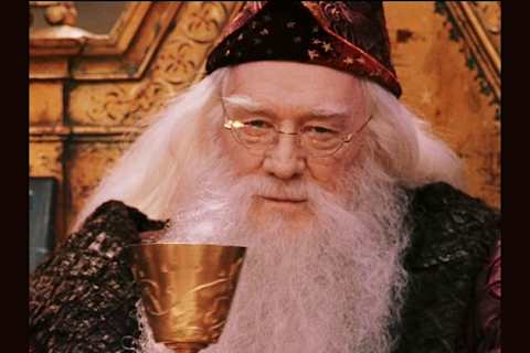 dumbledore's first speech