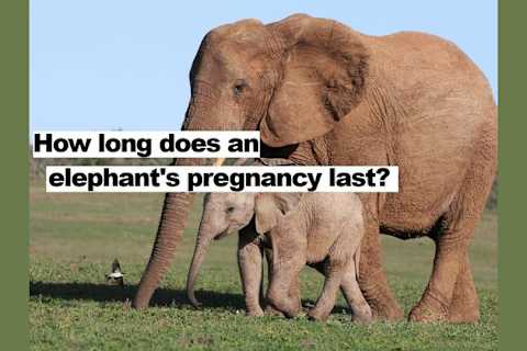 30 general knowledge questions