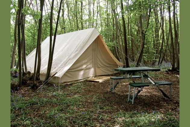 Are You a True Camper??