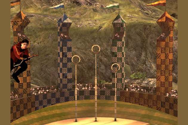 What Quidditch Position would you have???