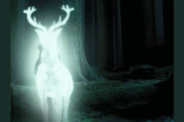 Which Harry Potter Character had What Patronus?