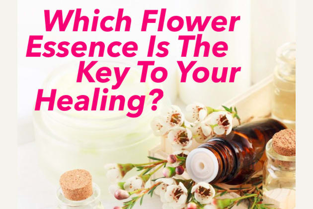 Which Flower Essence Is The Key To Your Healing?