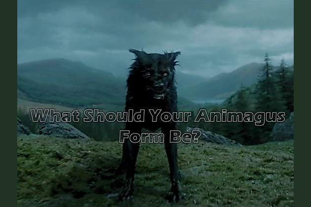 What Should Your Animagus Form Be?