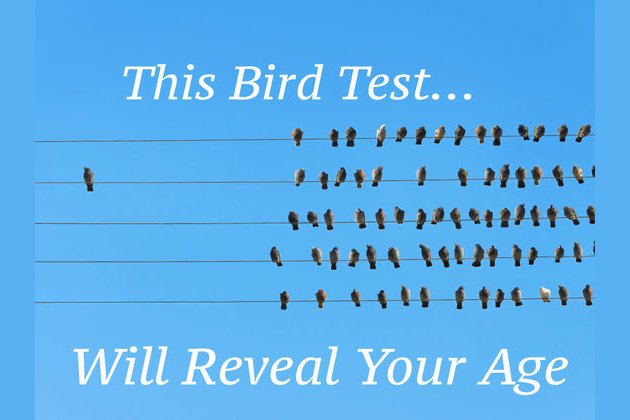 This Bird Test Will Reveal Your True Age