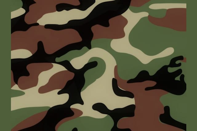 Can You Name These Famous Military Camo Patterns?