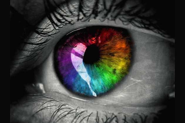This Gray Test Will Reveal What Color Your Inner Eye Is!
