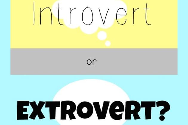 Are you an Introvert, Extrovert, or Ambivert?