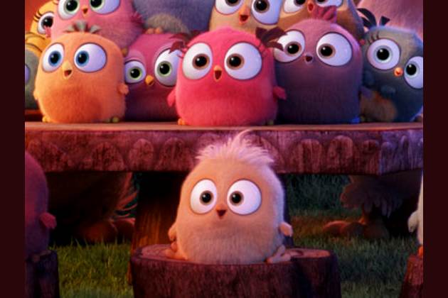 Which Hatchling from The Angry Birds Movie Are You?