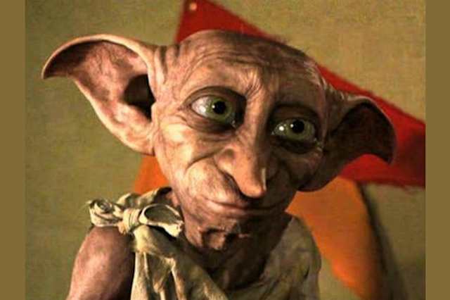 TRIVIA: ¿Qué tanto sabes sobre Dobby?
