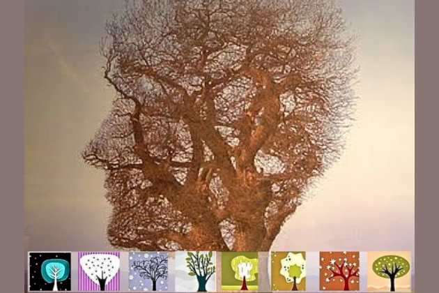 Choose A Tree And See What It Reveals About You