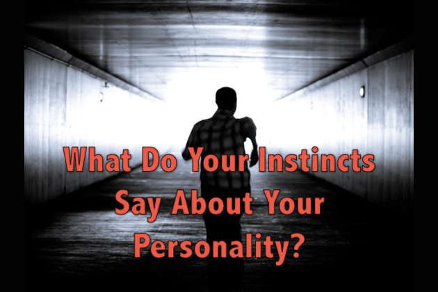 What Do Your Instincts Say About Your Personality?