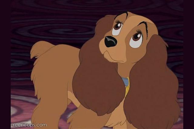 Sai dire di che razza sono questi famigerati cani dei cartoni animati?