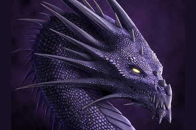 What Colour Dragon are You?