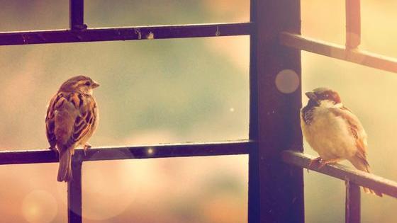 New Quizzes - Playbuzz