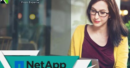 How NetApp Online Training Advantages To Your Career?