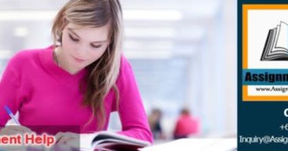 Professional Assignment Help Services To Enhance Your Grades