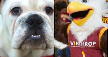 Winthrop's Big Stuff and Gardner-Webb's Roebuck