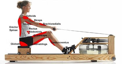 Benefits of using rowing machine
