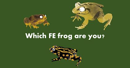Which FE Frog are you?