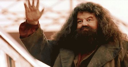 9 Times Hagrid Was A True And Utter Delight