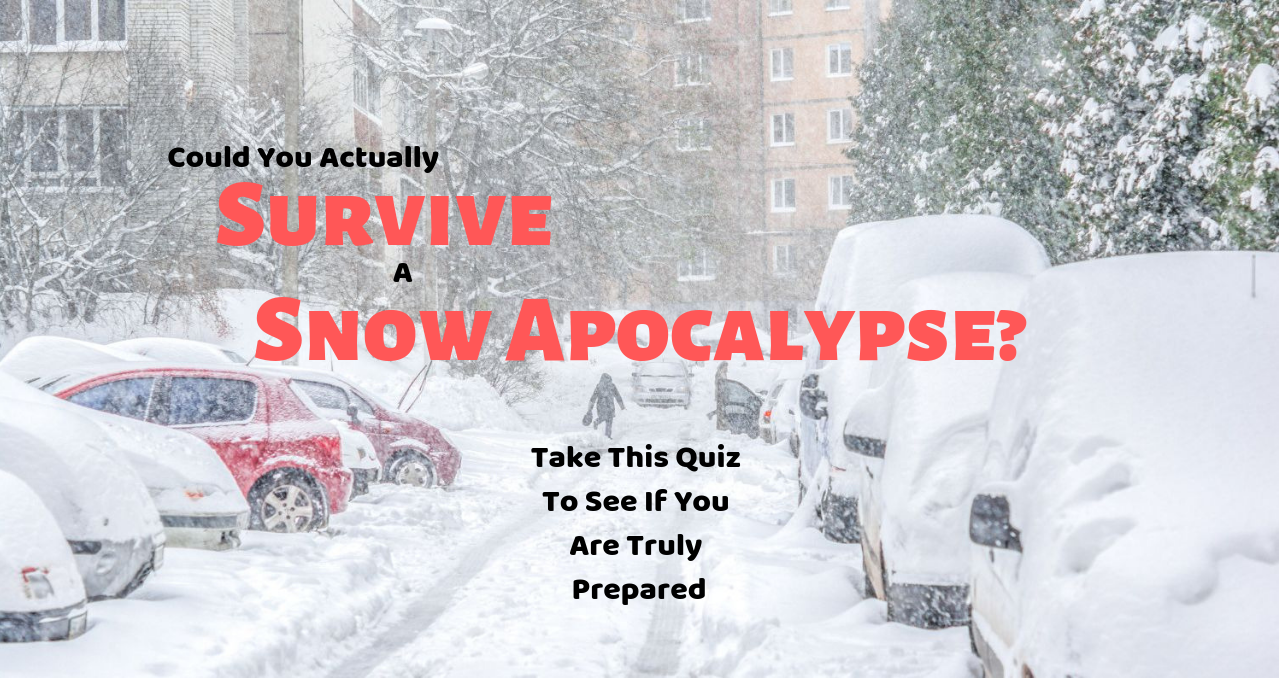 Could You Actually Survive A Snow Apocalypse? Take This Test To See If ...