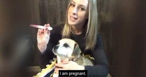 My ConceiveEasy TTC Kit Review: Katherine