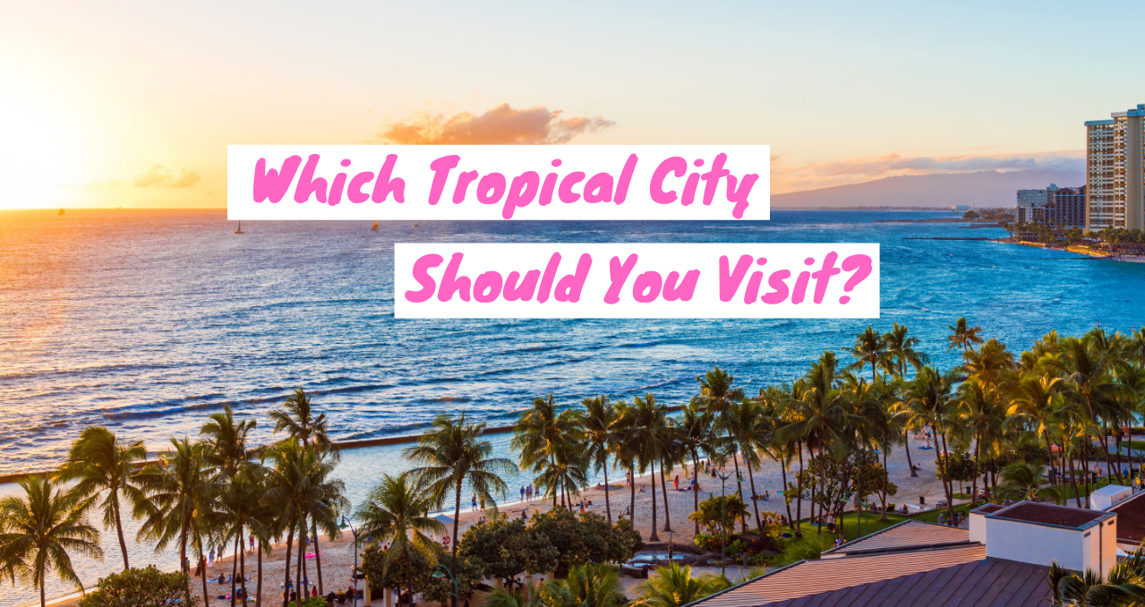 What Tropical City Should You travel to?