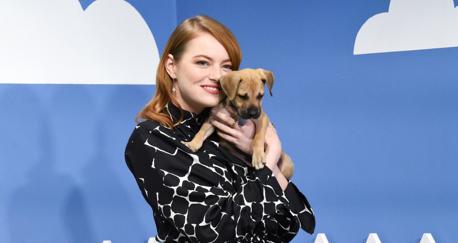 These Celebs Adopted Dogs And They're So Cute!