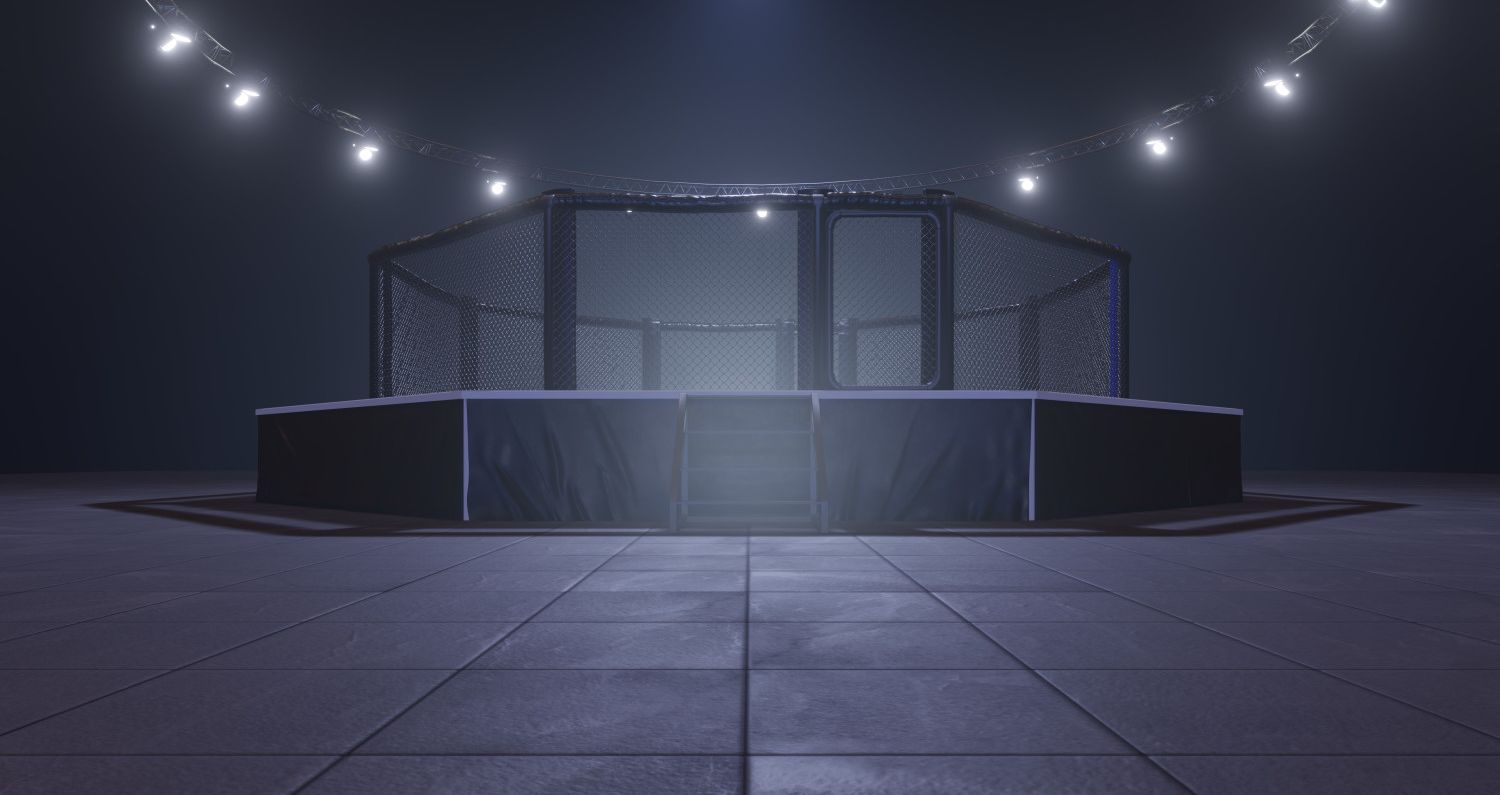 The Rise Of MMA Fighting