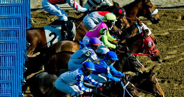 What You Should Know Before Visiting Aqueduct Racetrack