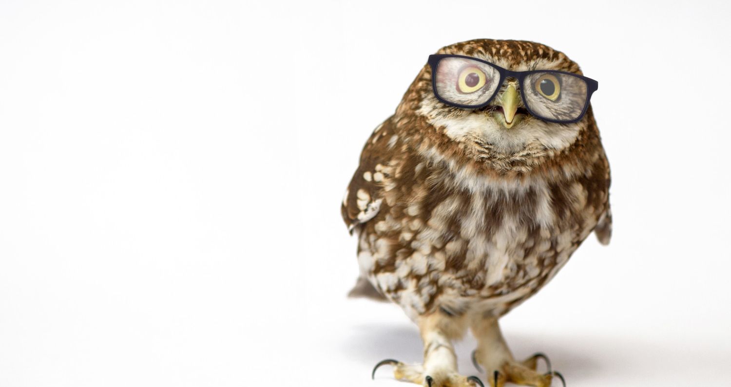 El test de los 7 sabios