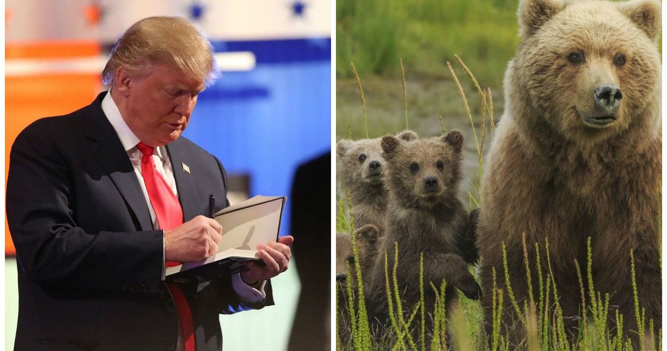 Trump Has Now Lifted Restrictions On Hunting Of Bears And Wolves In Alaska