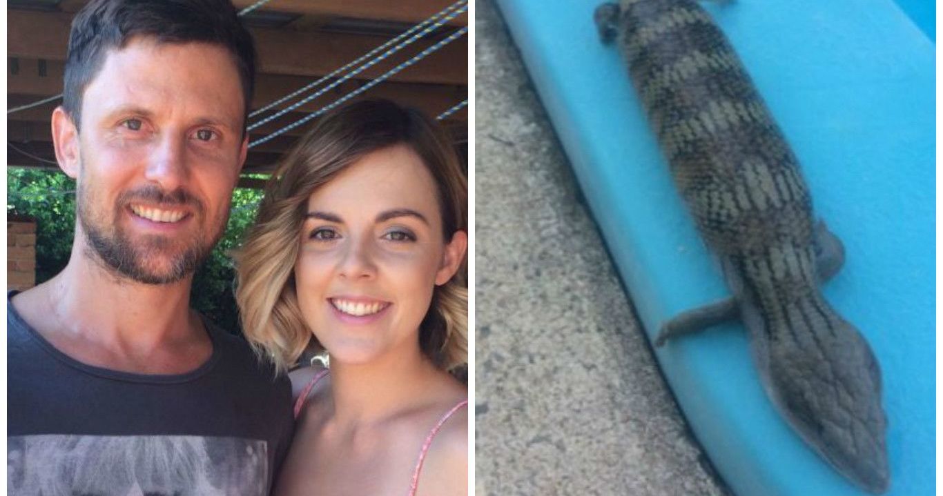 This Australian Man And His Family Saved A Drowned Lizard With CPR
