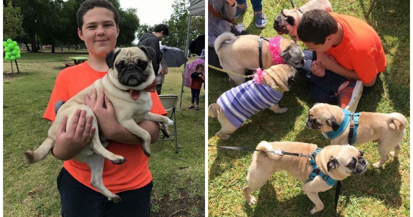 This Autistic 14-Year-Old Got The Pug-Filled Surprise Of A Lifetime For ...