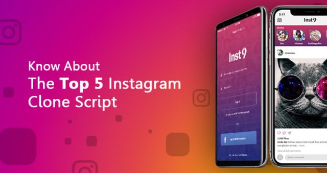 Know About The Top 5 Instagram Clone Script