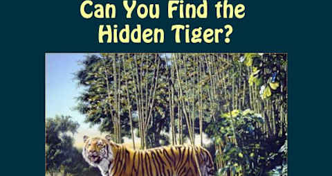 tiger tree optical illusion