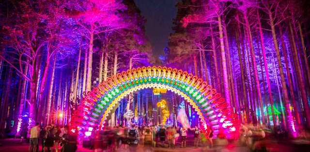 14 Music Festivals You Have To Hit Up In 2017