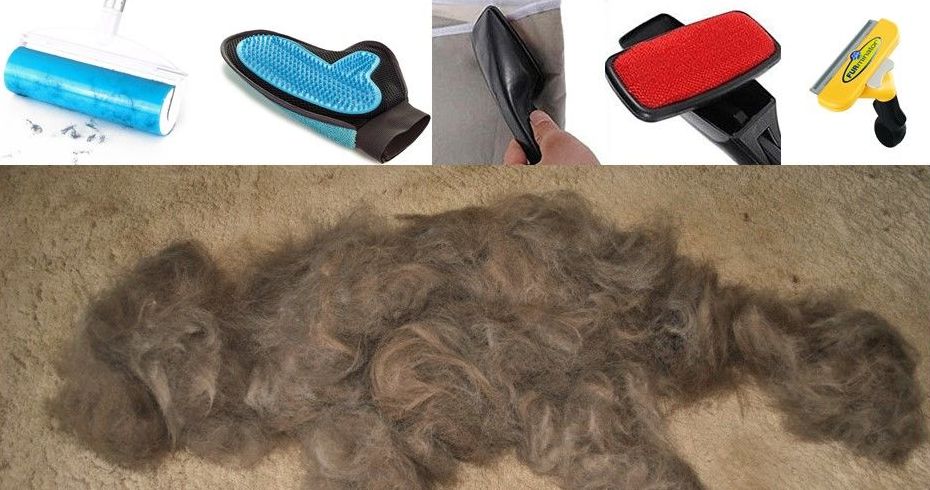 What Are You Waiting Fur? 10 Products That Will Instantly Remove Pet Hair