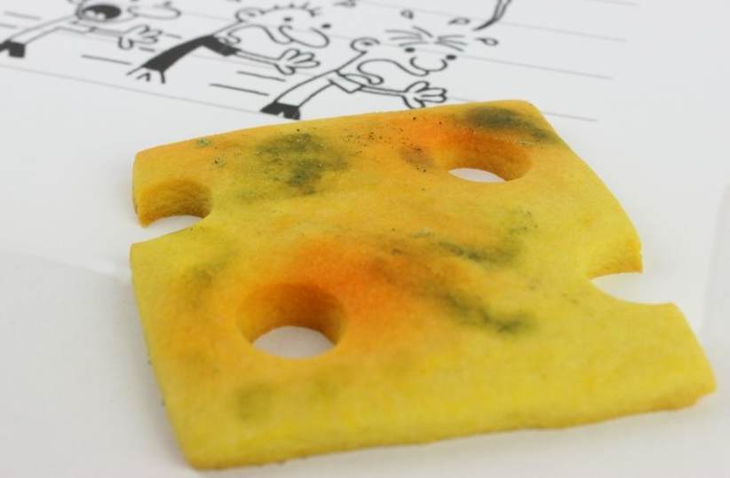 moldy cheese from diary of a wimpy kid
